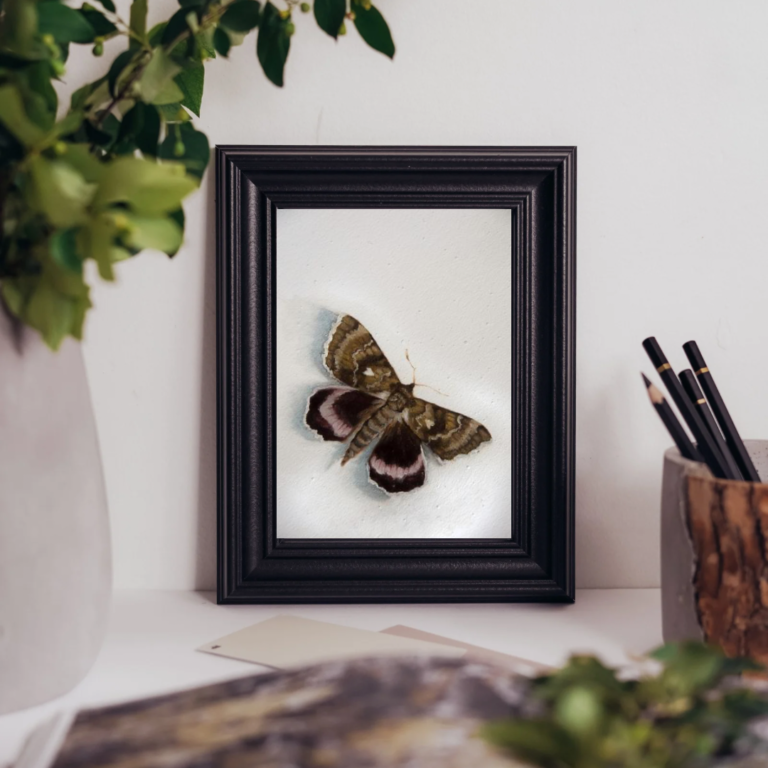 The Moth – Signed Archival Quality Art Print – Whatleys Wildlife